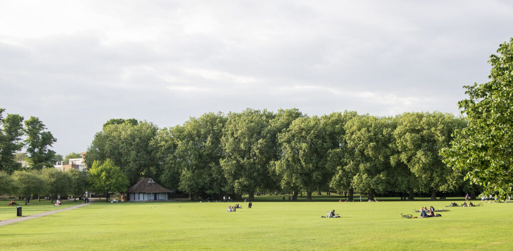 Jesus Green Association – Caring for Jesus Green